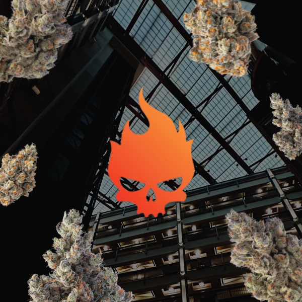 We Help You Find The Best Weed In NYC - New York Fire Finders